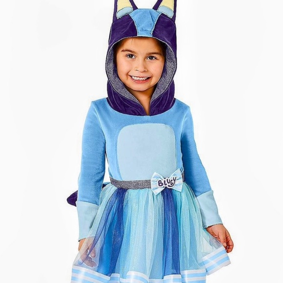 Costumes | Bluey Dress Costume | Poshmark